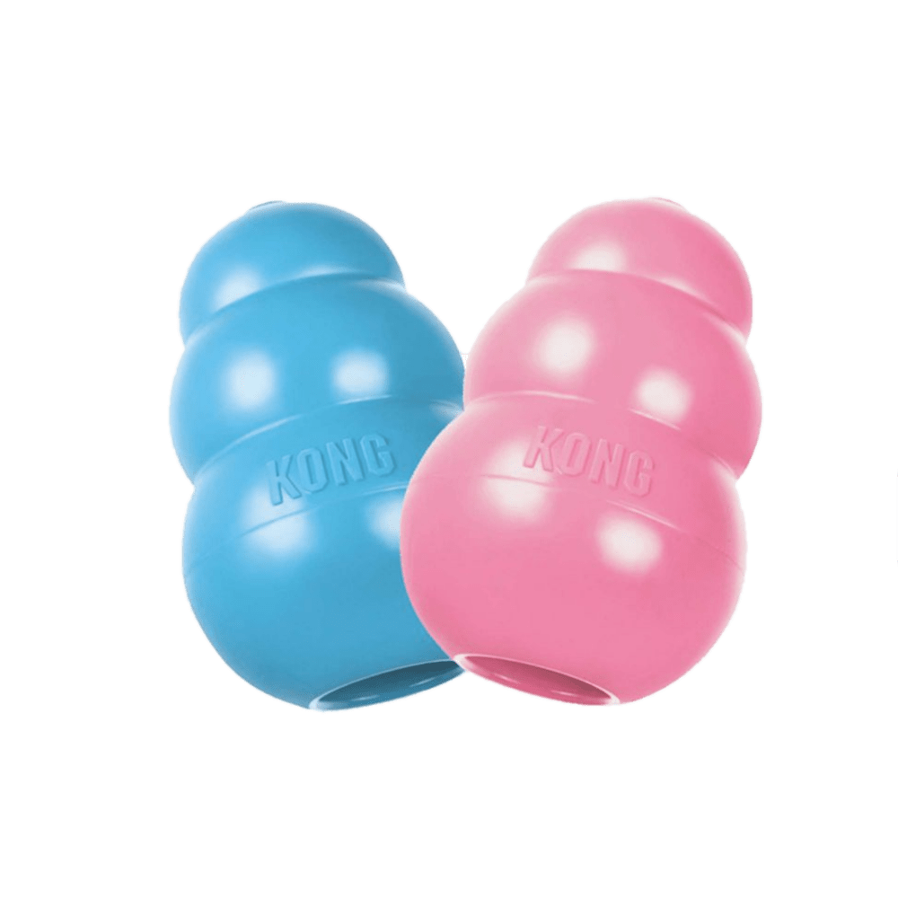 Kong Puppy - najdraža pseća igračka - Centar Kliker